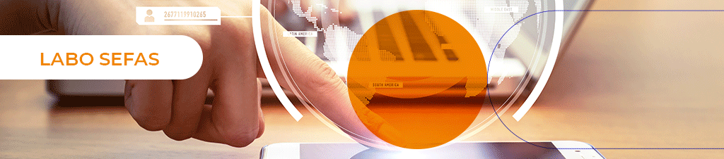 Artificial Intelligence at the Sefas Lab - Sefas Innovation Ltd.