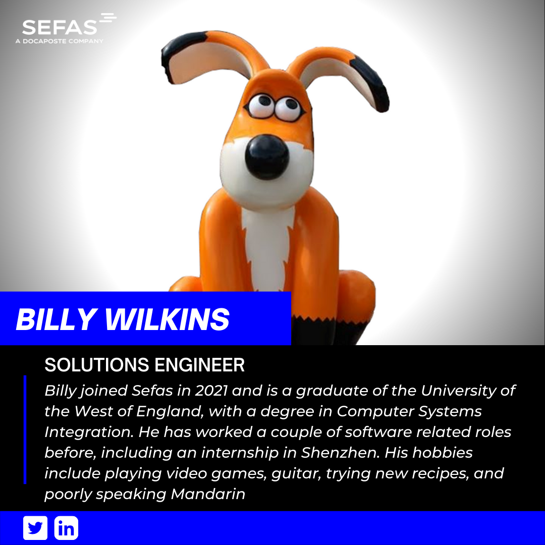 Who we are - Sefas Innovation Ltd. - Meet our incredible team!