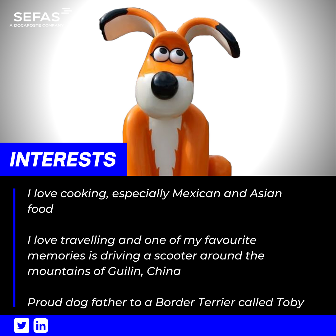 Who we are - Sefas Innovation Ltd. - Meet our incredible team!